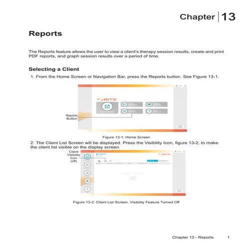 Chapter 13 Reports 2-5-15 | PDF
