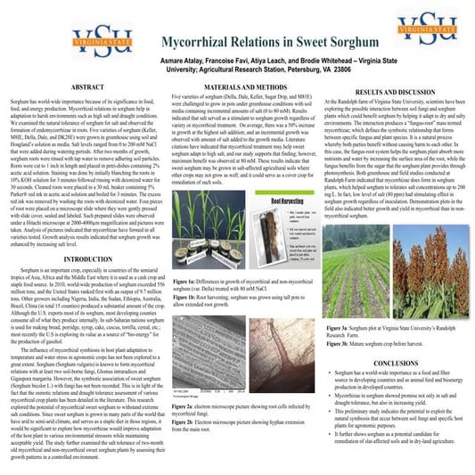 ASA CSSA SSSA Conference - Tampa Atalay's Poster 2013 | PPT