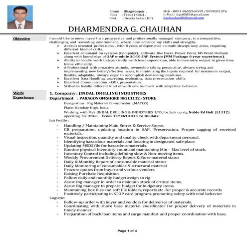 Resume Store Executive | DOCX