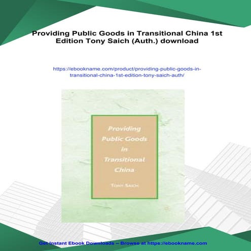 Providing Public Goods in Transitional China 1st Edition Tony Saich ...