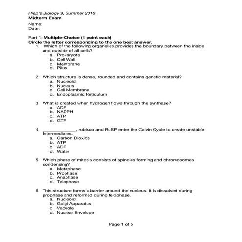 Holt Modern Biology Chapter 14 Vocabulary--History of Life | PPTX