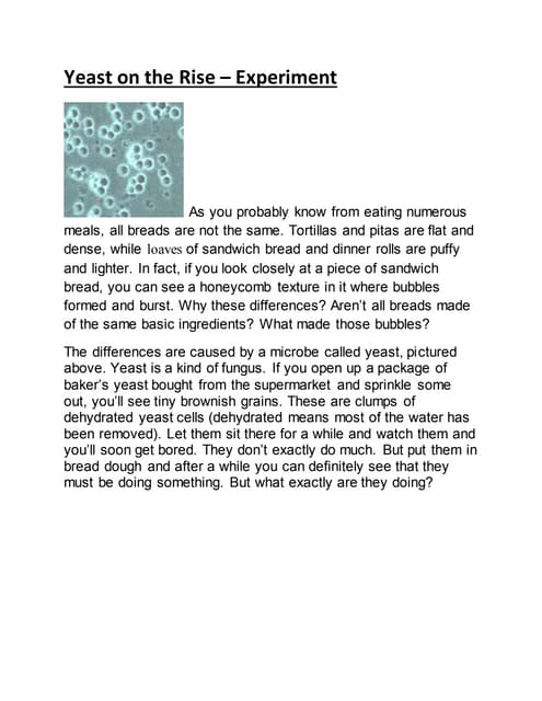 Yeast experiment | PDF