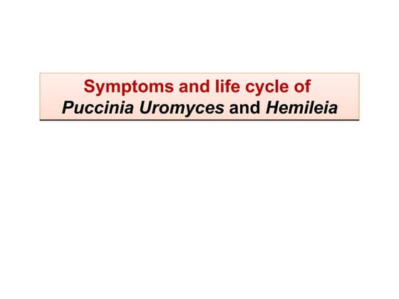 Different stages in the life cycle of Puccinia | PPTX | Gardening ...