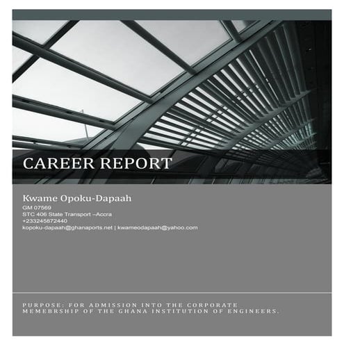 CAREER REPORT | PDF