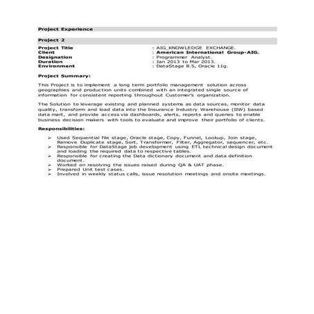 Project Experience2 | PDF