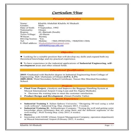 Aljaz Jelen_CV_LinkedIn | PDF