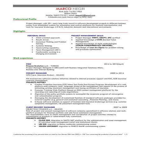 cv[MN-eng] | PDF