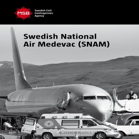 SNAM_english | PDF