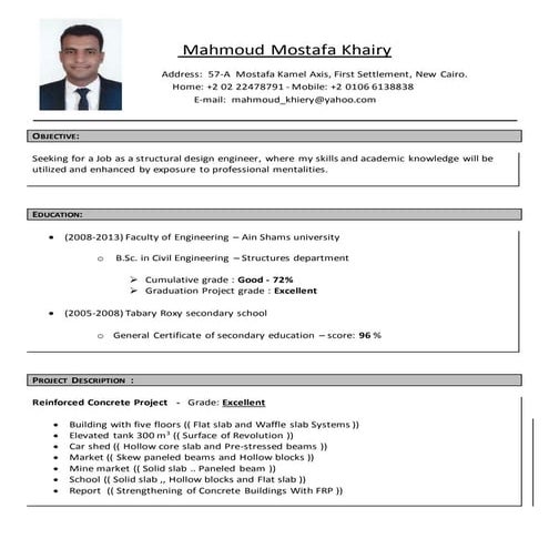 TAMER cv | PDF