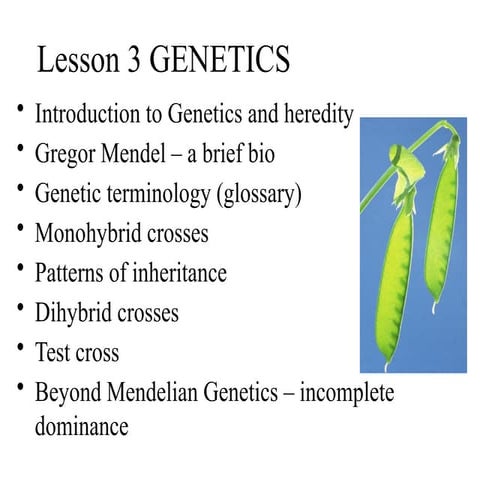 Comprehensive Introduction to Genetics and Mendelian Inheritance ...