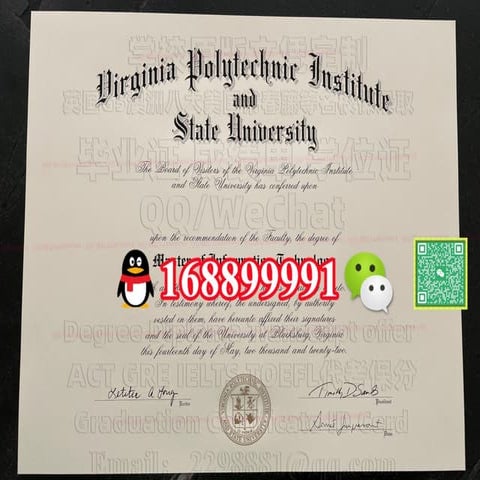 Virginia Polytechnic Institute and State University degree offer ...