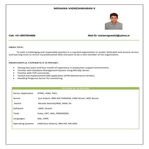 VM_Resume | PDF