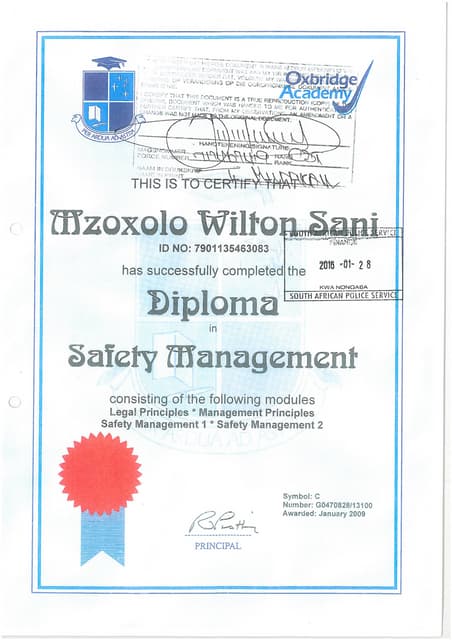 UP academic Record | PDF