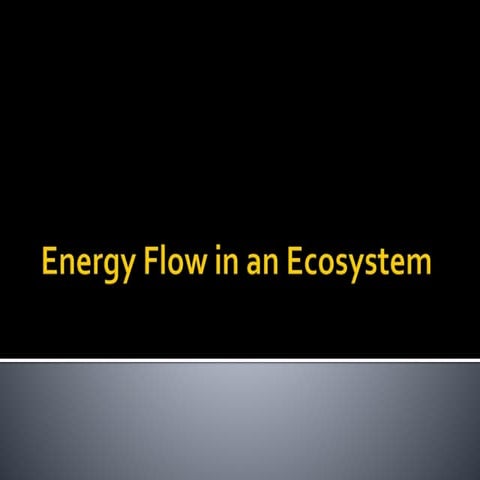 Ecosystem - structure and dynamics | PPT