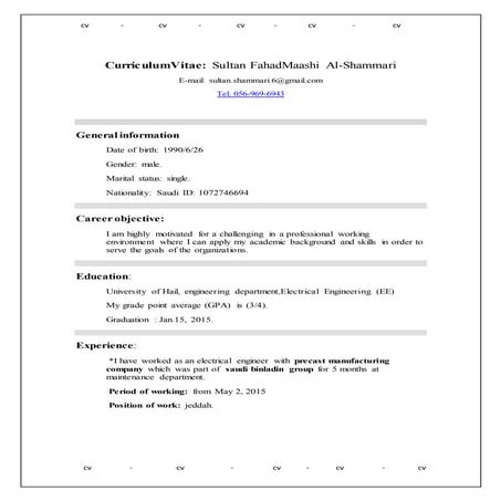 Sultan CV | DOCX