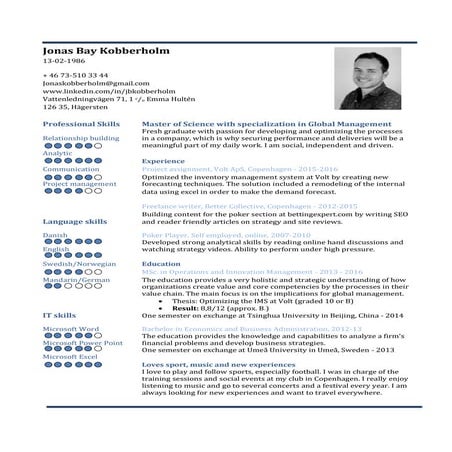 Jonas Bay Kobberholm CV | PDF