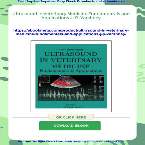 Ultrasound in Veterinary Medicine Fundamentals and Applications J. P. Varshney | PDF