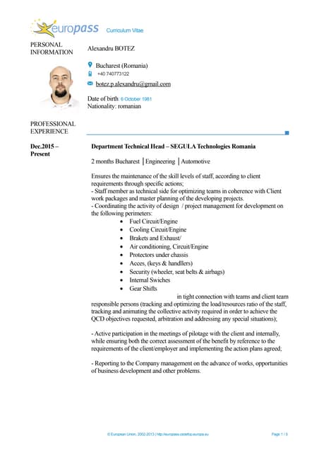 CV George DINCA | PDF