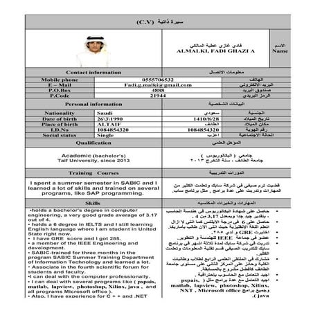CV FADI | PDF