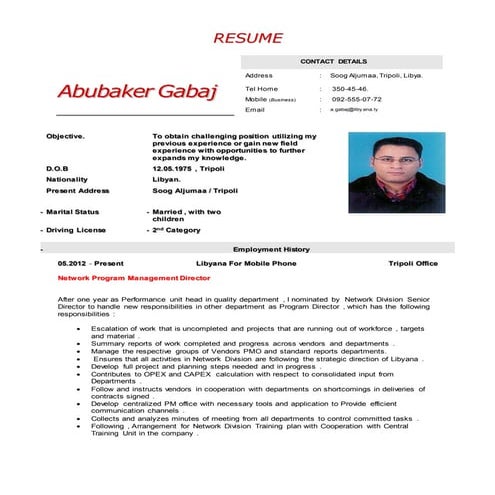 CV3 | DOCX | Telecommunications Industry | Industries