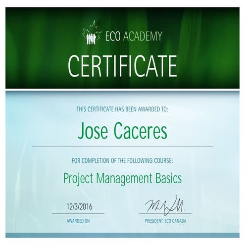 Project Management Basics | PDF