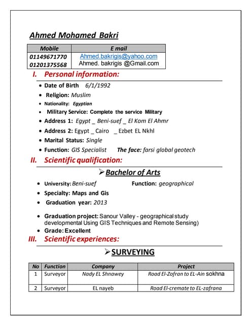 laith CV | DOCX | Business | Business and Finance