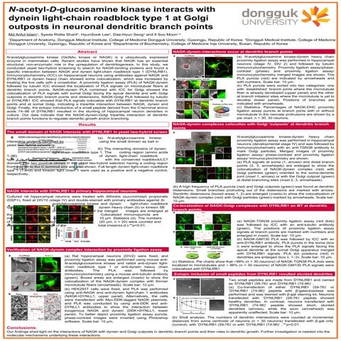 RGD poster presented at WBC | PDF