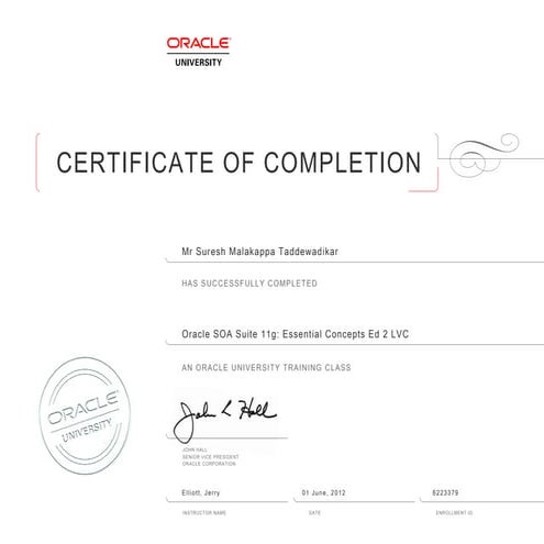 soa_certificate | PDF | Business | Business and Finance