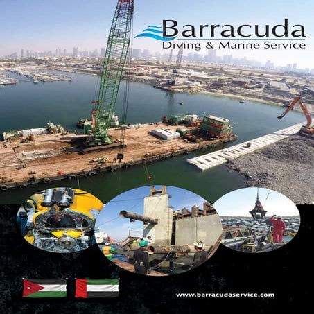 Barracuda Diving & Marine Service Profile Nov 16 (L) | PDF