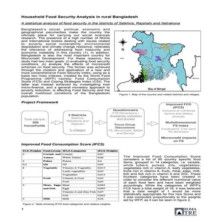 Reduced Coping Strategies Index (rCSI) Needs Assessments.pptx