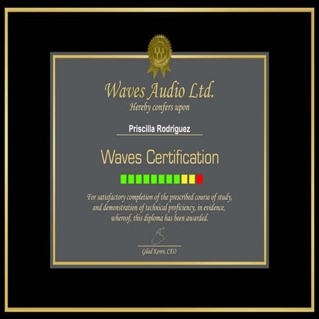 Waves Certification | PPT