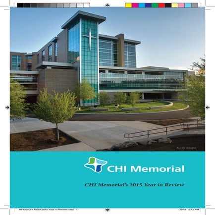 16-150 CHI MEM 2015 Year in Review (3) | PDF