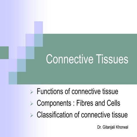 785_Conective_Tissues_biology-lesson.pdf