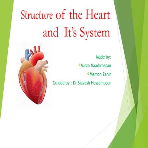 Anatomy of the heart | PPT