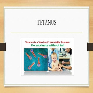 Clostridium tetani (tetanus) - causes, symptoms, diagnosis, treatment ...