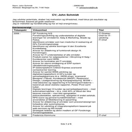 CV John Schmidt | PDF