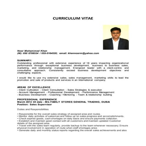 Resume Danny Lajer | PDF