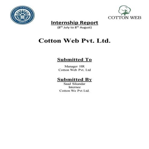 Internship Summary | DOCX