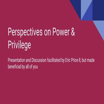 Power & Privilege From Another Perspective | PPTX