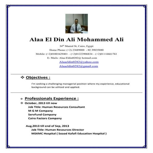 Alaa_El_Din_Ali_Mohamed_Ali_Mahmoud | PDF