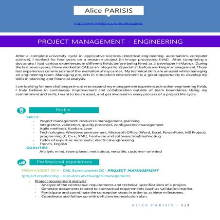 CV_AliceParisis_en1 | DOCX | Civil Engineering Industry | Industries