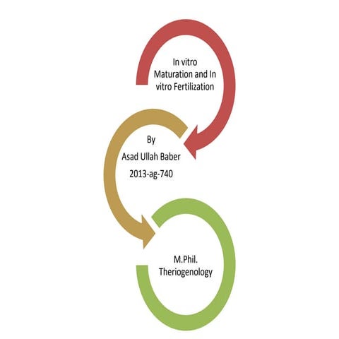 In vitro maturation and In vitro Fertilization | PPTX