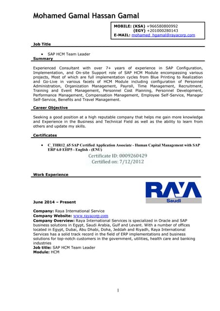 Buiquockim cv-engl | PDF