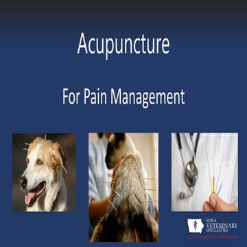 Veterinary Acupuncture for Pain Management | PPTX