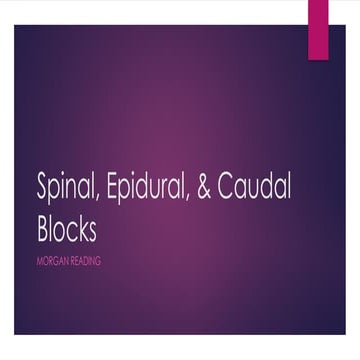 78 MR Spinal Epidural Caudal blocks.pptx