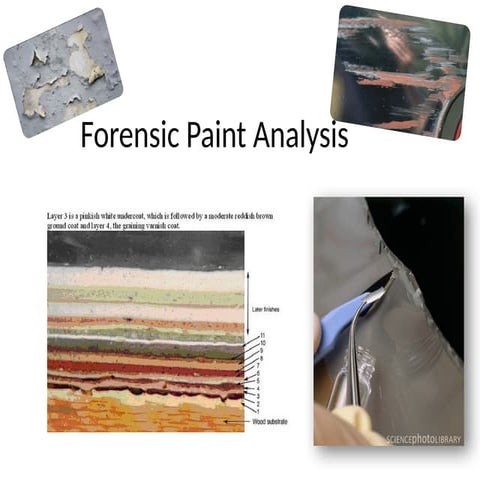 Paints as evidence | PPTX