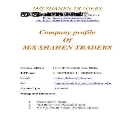 Company profile | PDF