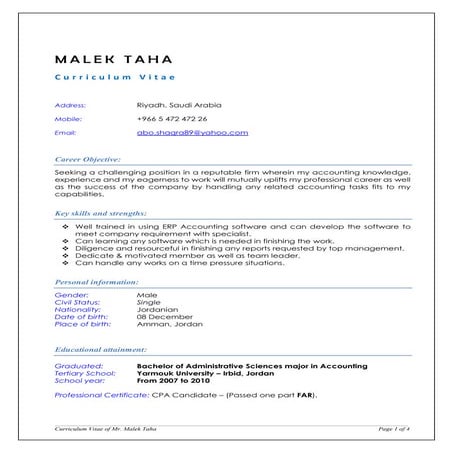 CV Malek Taha PDF | PDF