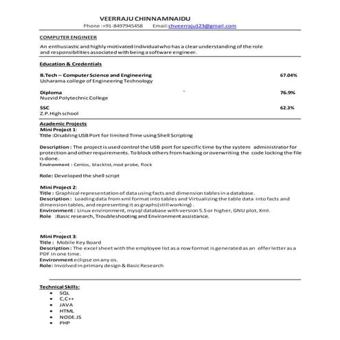 raju resume | PDF