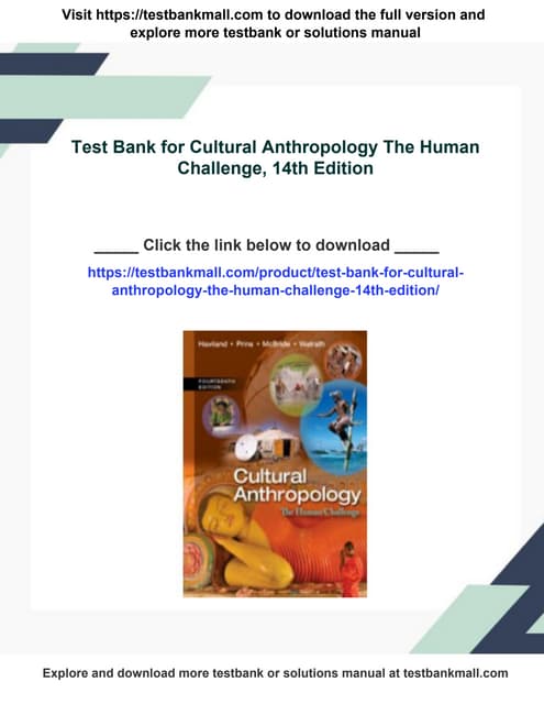 Understanding Culture, Society and Politics | PDF